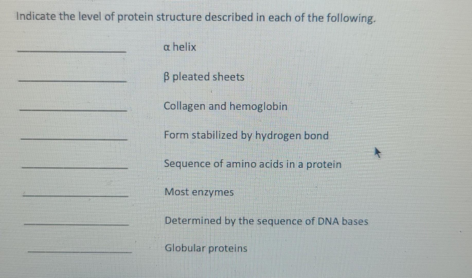 Solved Question 2 Draw a structure for the protein composed | Chegg.com