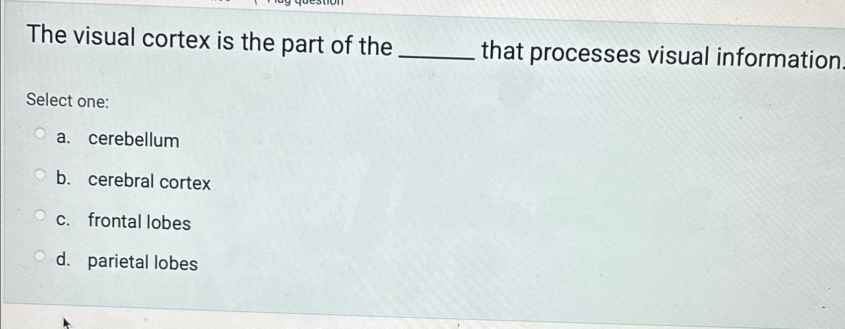 Solved The visual cortex is the part of the that processes | Chegg.com