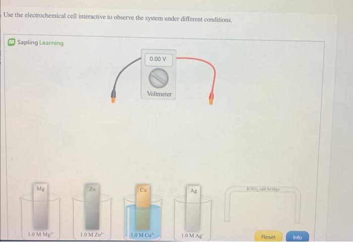 Solved Use the electrochemical cell interactive to observe | Chegg.com