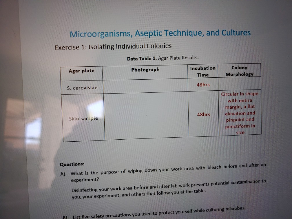 Solved Microorganisms, Aseptic Technique, and Cultures | Chegg.com