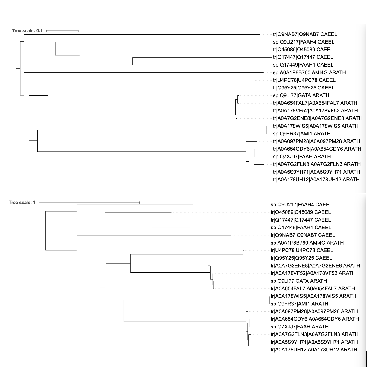 Solved Describe and discuss any differences you see (the top | Chegg.com