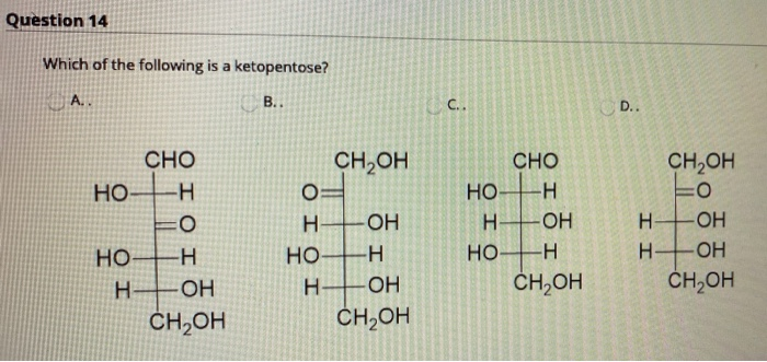 Solved Question 14 Which of the following is a ketopentose? | Chegg.com