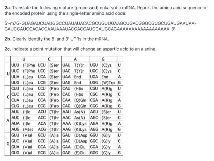 Solved 2a. Translate the following mature (processed) | Chegg.com