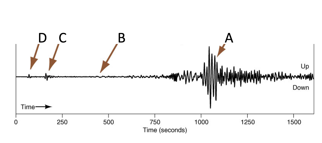 Solved Using the above graphic of a seismogram, the p wave | Chegg.com