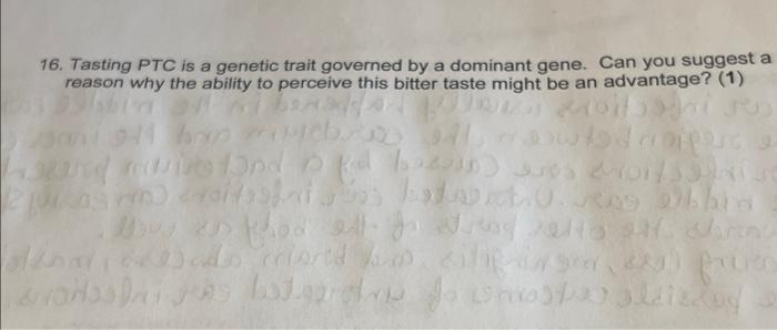 Solved 16. Tasting PTC is a genetic trait governed by a | Chegg.com
