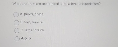 Solved What are the main anatomical adaptations to | Chegg.com