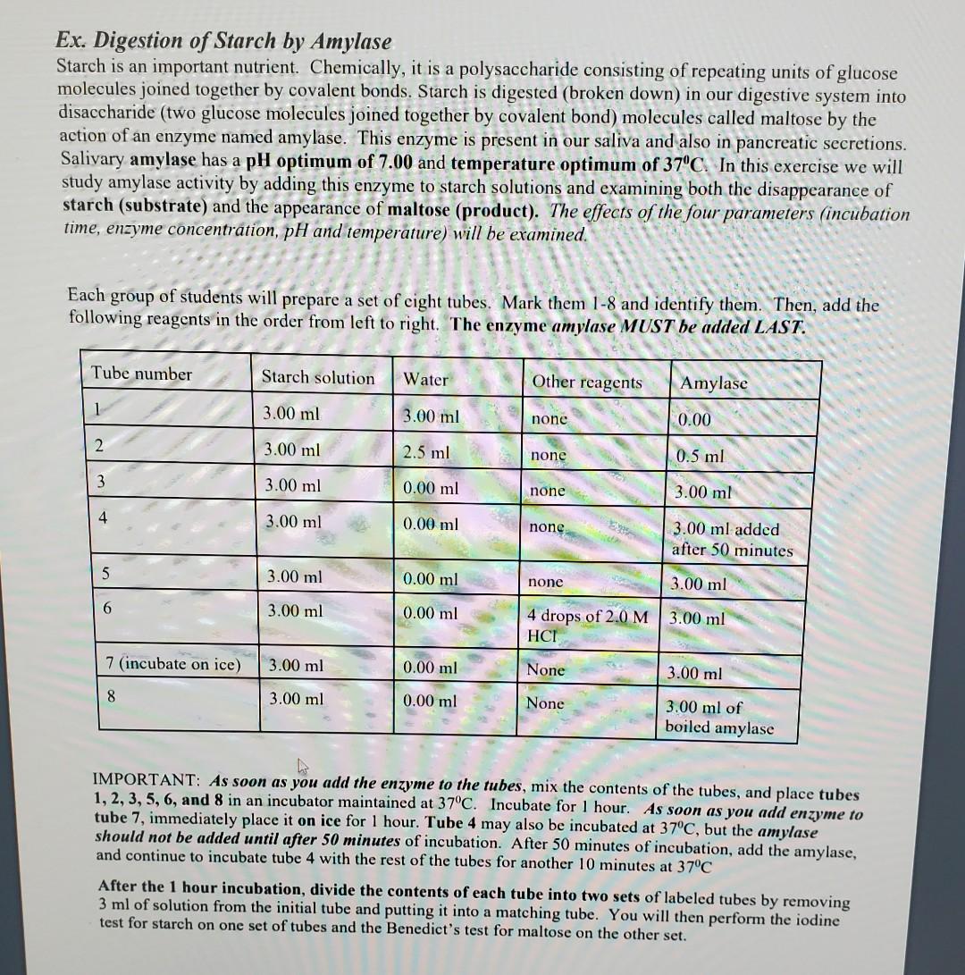 Ex. Digestion of Starch by Amylase Starch is an | Chegg.com