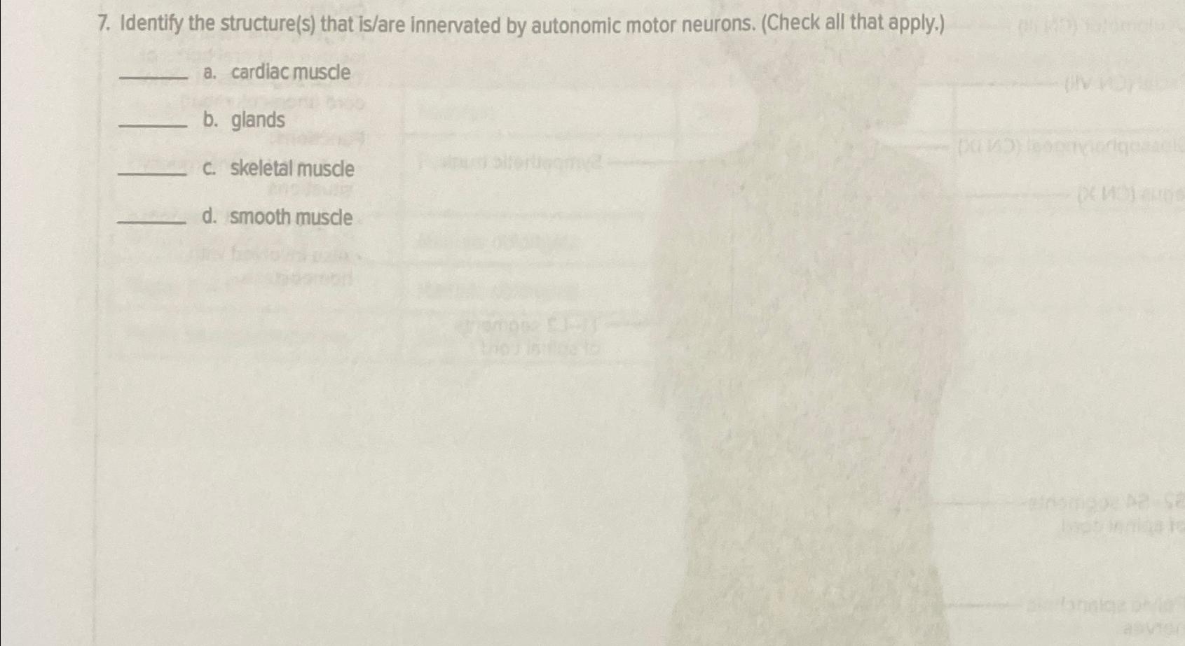 Solved Identify the structure(s) ﻿that is/are innervated by | Chegg.com