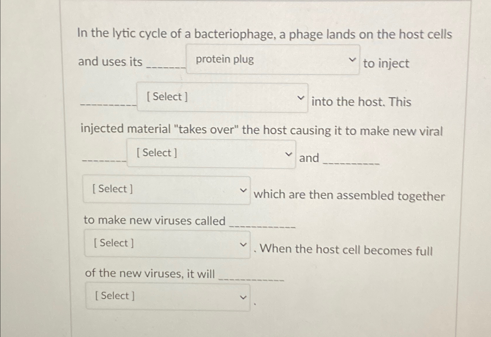 Solved In the lytic cycle of a bacteriophage, a phage lands | Chegg.com