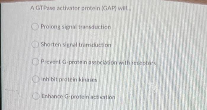Solved A GTPase activator protein (GAP) will... Prolong | Chegg.com