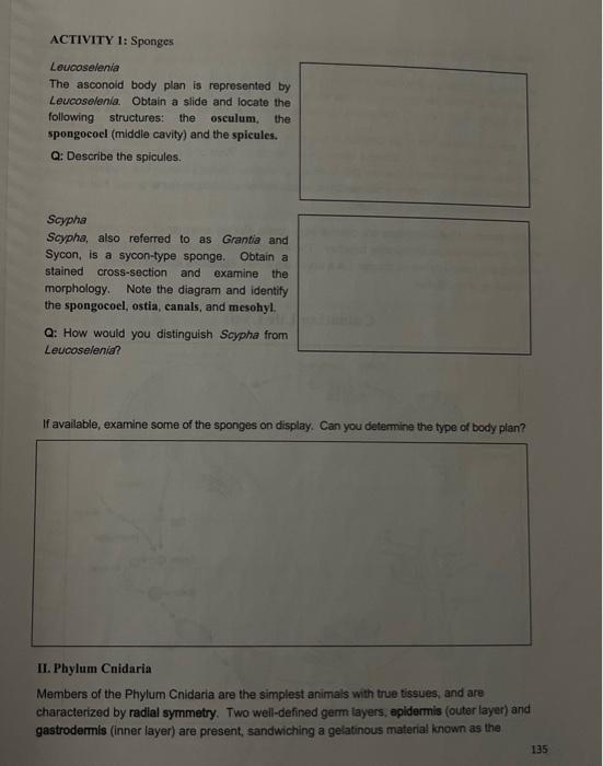 Solved Leucaselenia The asconoid body plan is represented by | Chegg.com