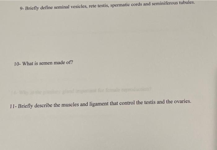 Solved 9- Briefly define seminal vesicles, rete testis, | Chegg.com