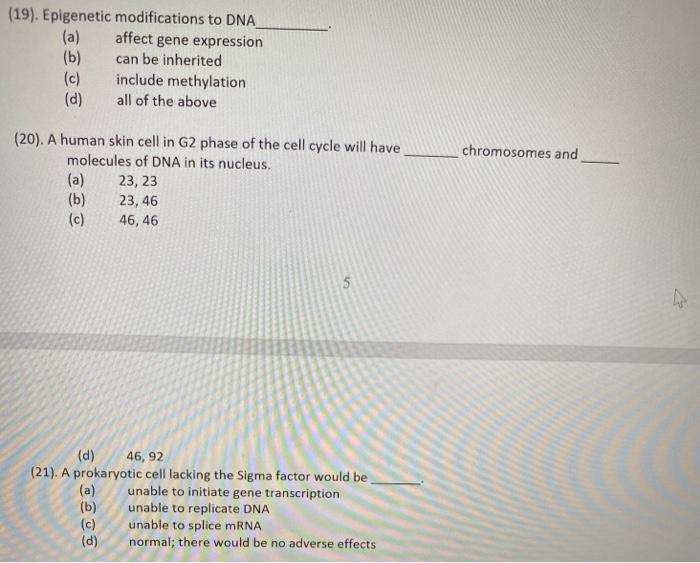 Solved (19). Epigenetic modifications to DNA (a) affect gene | Chegg.com