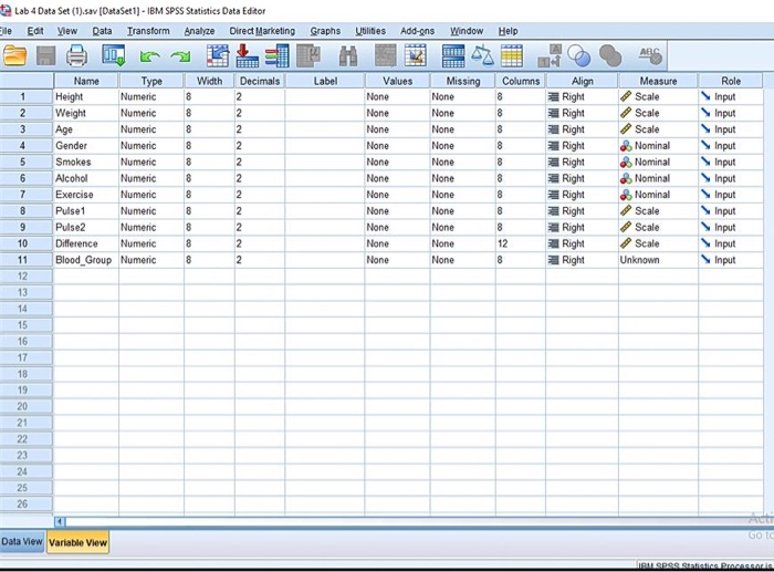 a Lab 4 Data Set (1) sav (DataSet1) - IBM SPSS | Chegg.com