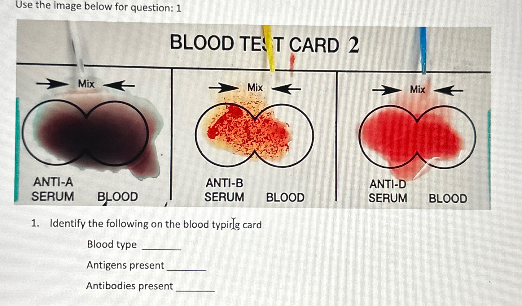 Solved Use the image below for question: 1Identify the | Chegg.com