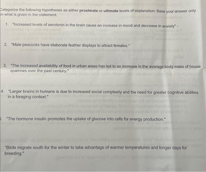 Solved Categorize the following hypotheses as either | Chegg.com