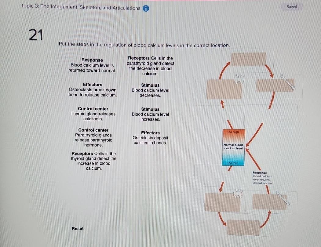 Solved Topic 3: The Integument, Skeleton, and Articulations | Chegg.com