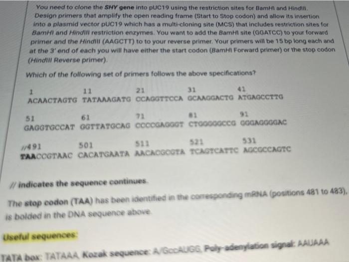 Solved You need to clone the SHY gene into pUC19 using the | Chegg.com