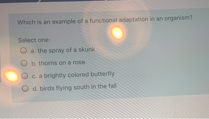 Solved Which is an example of a functional adaptation in an | Chegg.com
