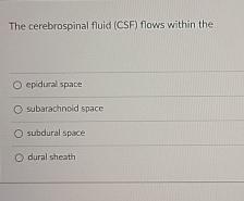 Solved The cerebrospinal fluid (CSF) ﻿flows within | Chegg.com