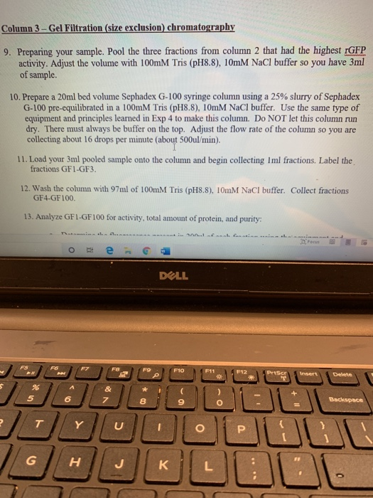 Styles Editing Paragraph Adobe Acrobat Step Sample | Chegg.com