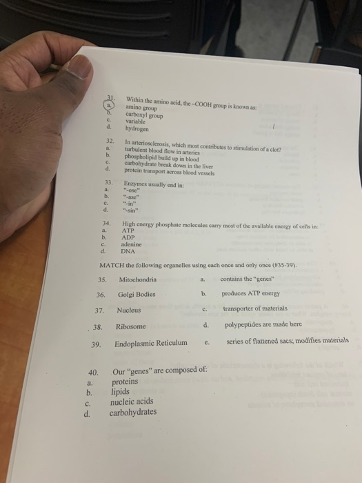 Solved The anterior side of the lower leg is: sural crural | Chegg.com