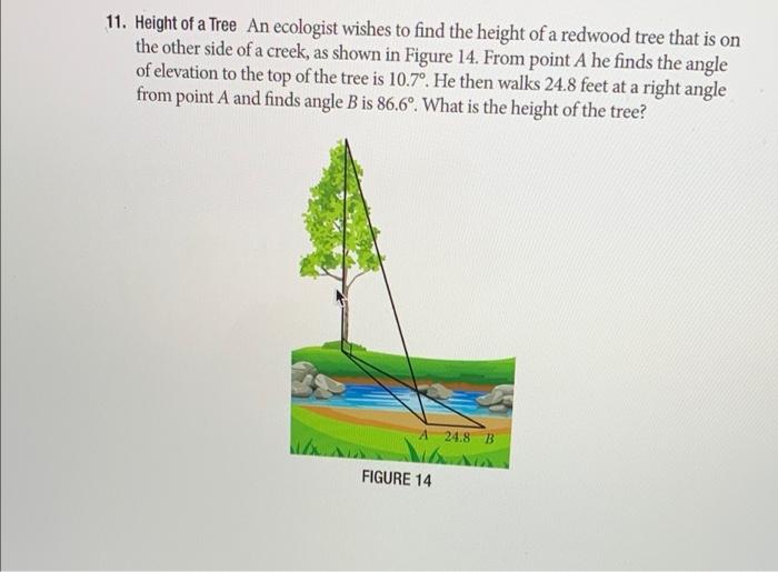 Solved 11. Height of a Tree An ecologist wishes to find the | Chegg.com