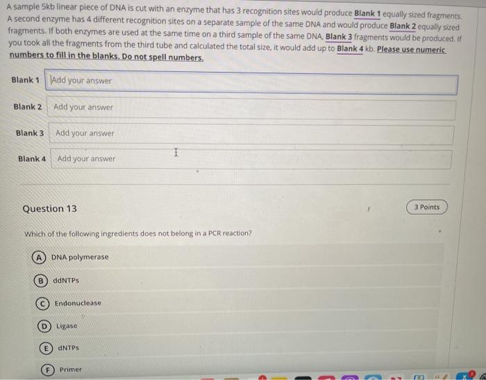 Solved A sample 5kb linear piece of DNA is cut with an | Chegg.com