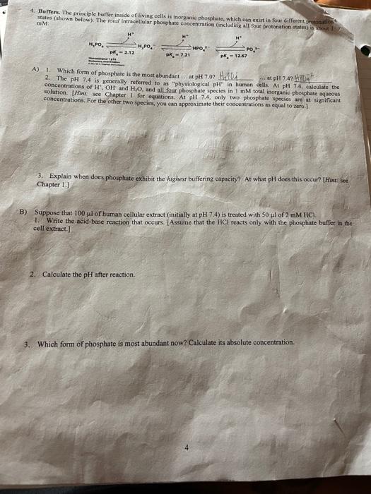 Solved 4. Burfers. The principle buffer inside of tiving | Chegg.com