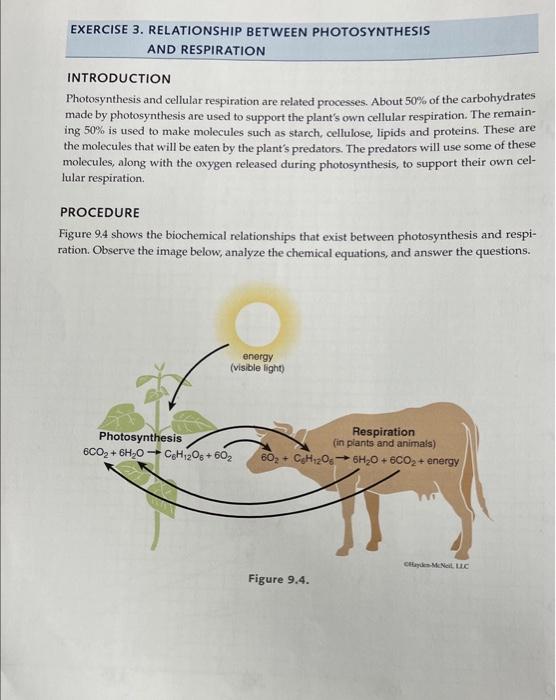 Solved INTRODUCTION Photosynthesis and cellular respiration | Chegg.com