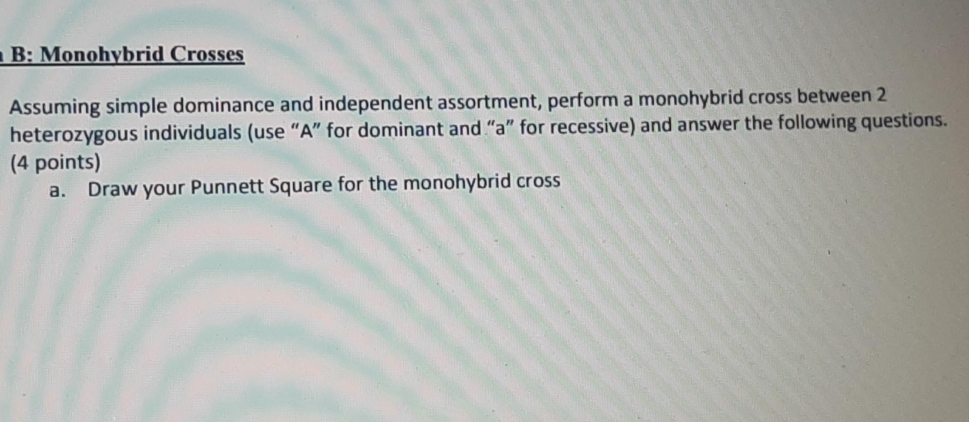 Solved B: Monohybrid Crosses Assuming simple dominance and | Chegg.com