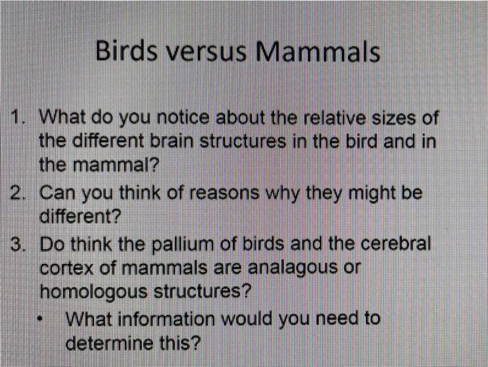 Solved Birds versus Mammals 1. What do you notice about the | Chegg.com