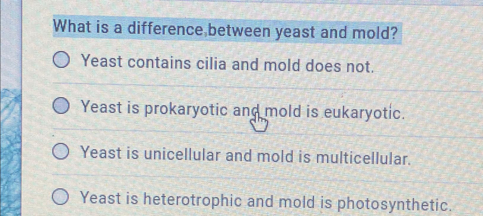 Solved What is a difference, between yeast and mold?Yeast | Chegg.com