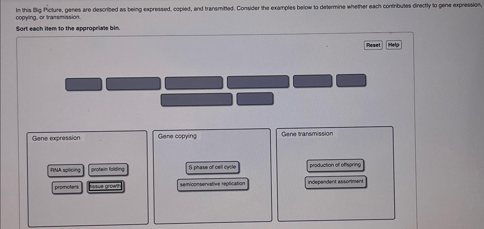 Solved In this Big Picture, genes are described as being | Chegg.com