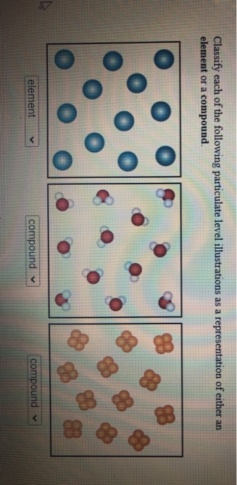 Solved Classify each of the following particulate level | Chegg.com