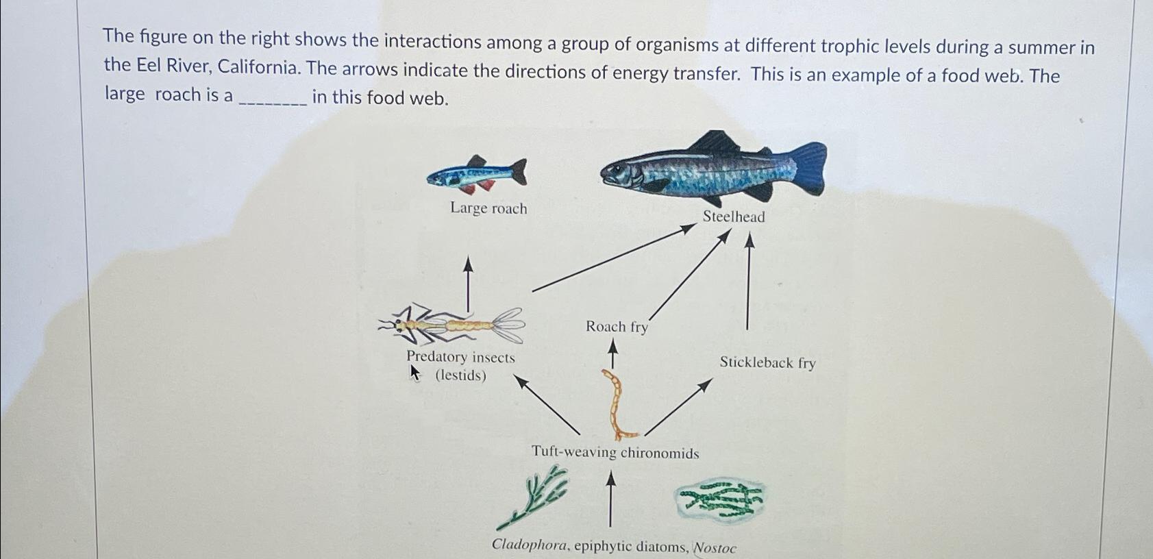 Solved The figure on the right shows the interactions among | Chegg.com