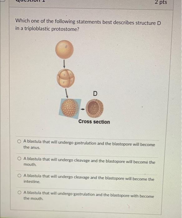 Solved 2 pts Which one of the following statements best | Chegg.com