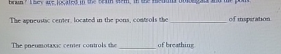 The apneustic center, located in the pons, controls | Chegg.com