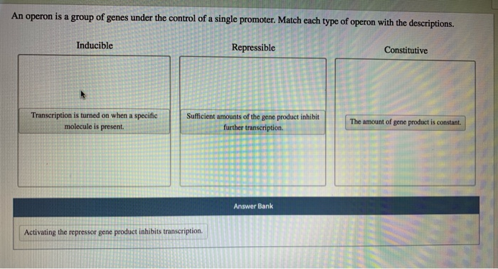 Solved An operon is a group of genes under the control of a | Chegg.com
