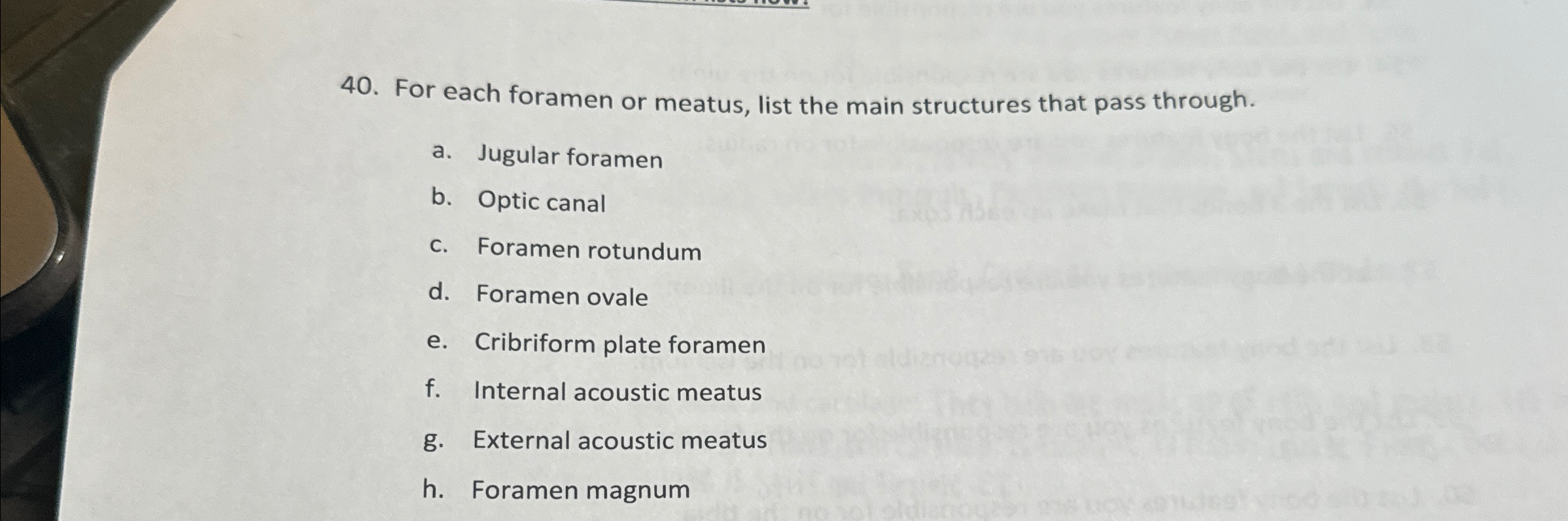 Solved For each foramen or meatus, list the main structures | Chegg.com