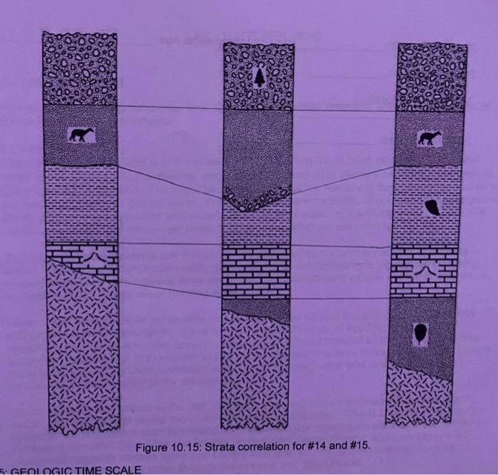Solved essential to correlating rocks of the same age. | Chegg.com