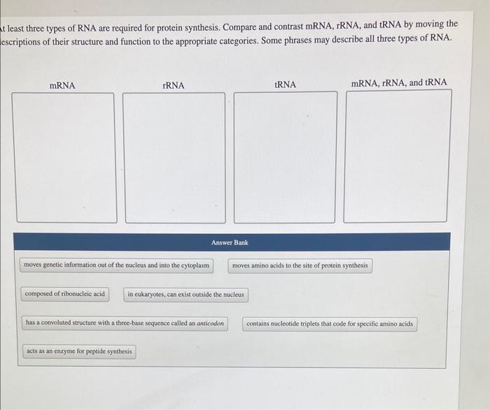 Solved Theast Three Types Of Rna Are Required For Protein 