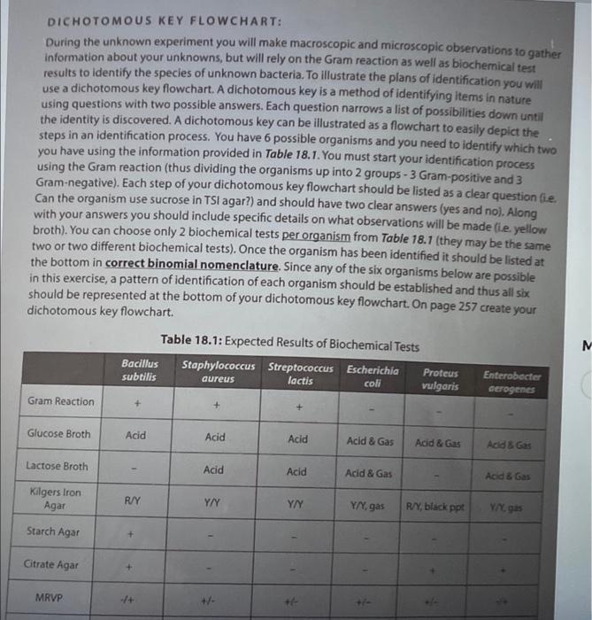 Solved DICHOTOMOUS KEY FLOWCHART; During the unknown | Chegg.com