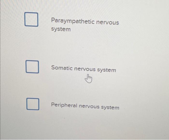 Solved Select the divisions of the nervous system that | Chegg.com