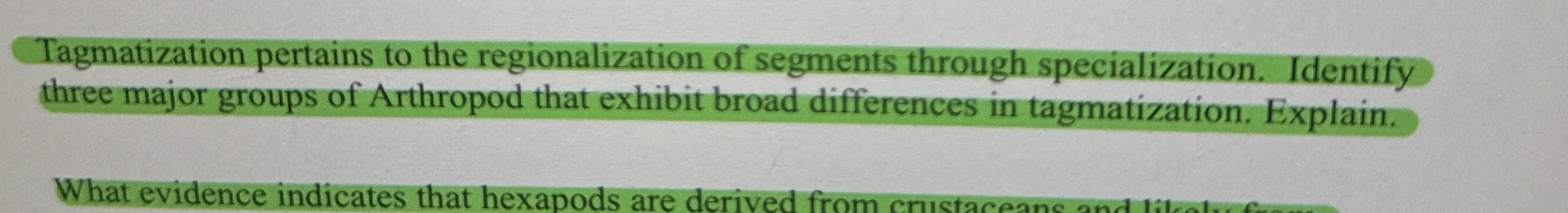 Solved Tagmatization pertains to the regionalization of | Chegg.com