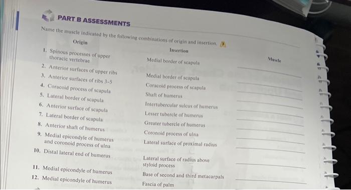 Solved PART B ASSESSMENTS thoracio vertebrae 2. Anterior | Chegg.com