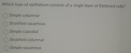 Solved Which type of epithelium consists of a single layer | Chegg.com