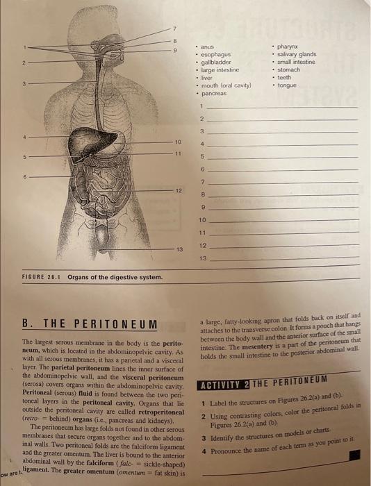 Solved - anus - esophagus - gallbladder - large intestine - | Chegg.com