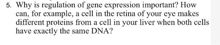 Solved 5. Why is regulation of gene expression important? | Chegg.com