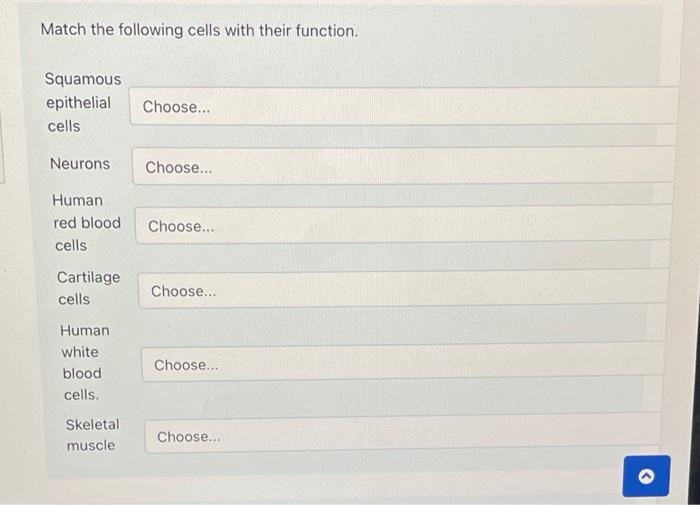 Solved Match the following cells with their function. | Chegg.com
